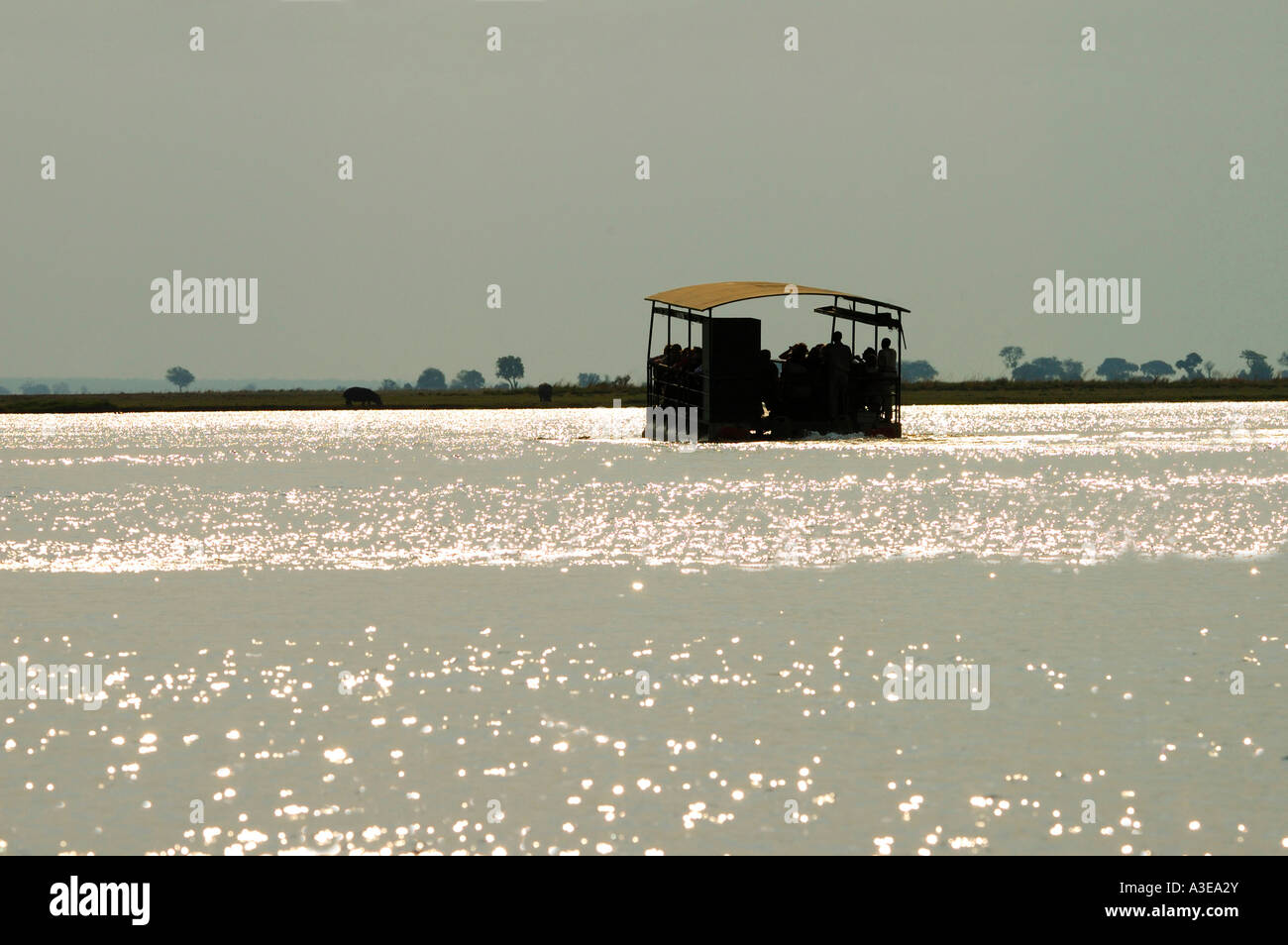 Sunset cruise on the Chobe River Botswana Stock Photo - Alamy