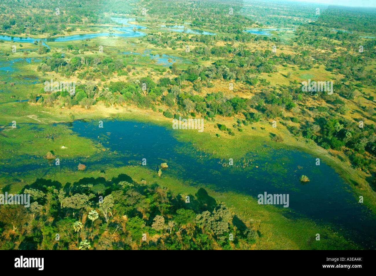 Bird's-eye view of Okavango Delta Botswana Stock Photo - Alamy