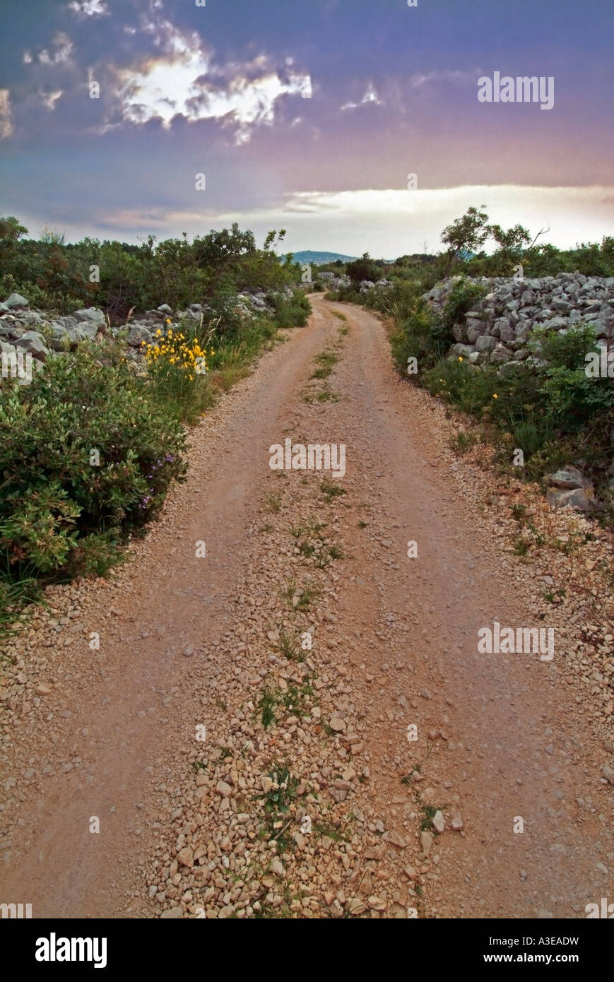 Stony dirt track through mediterranean macchia landscape in Croatia on ...