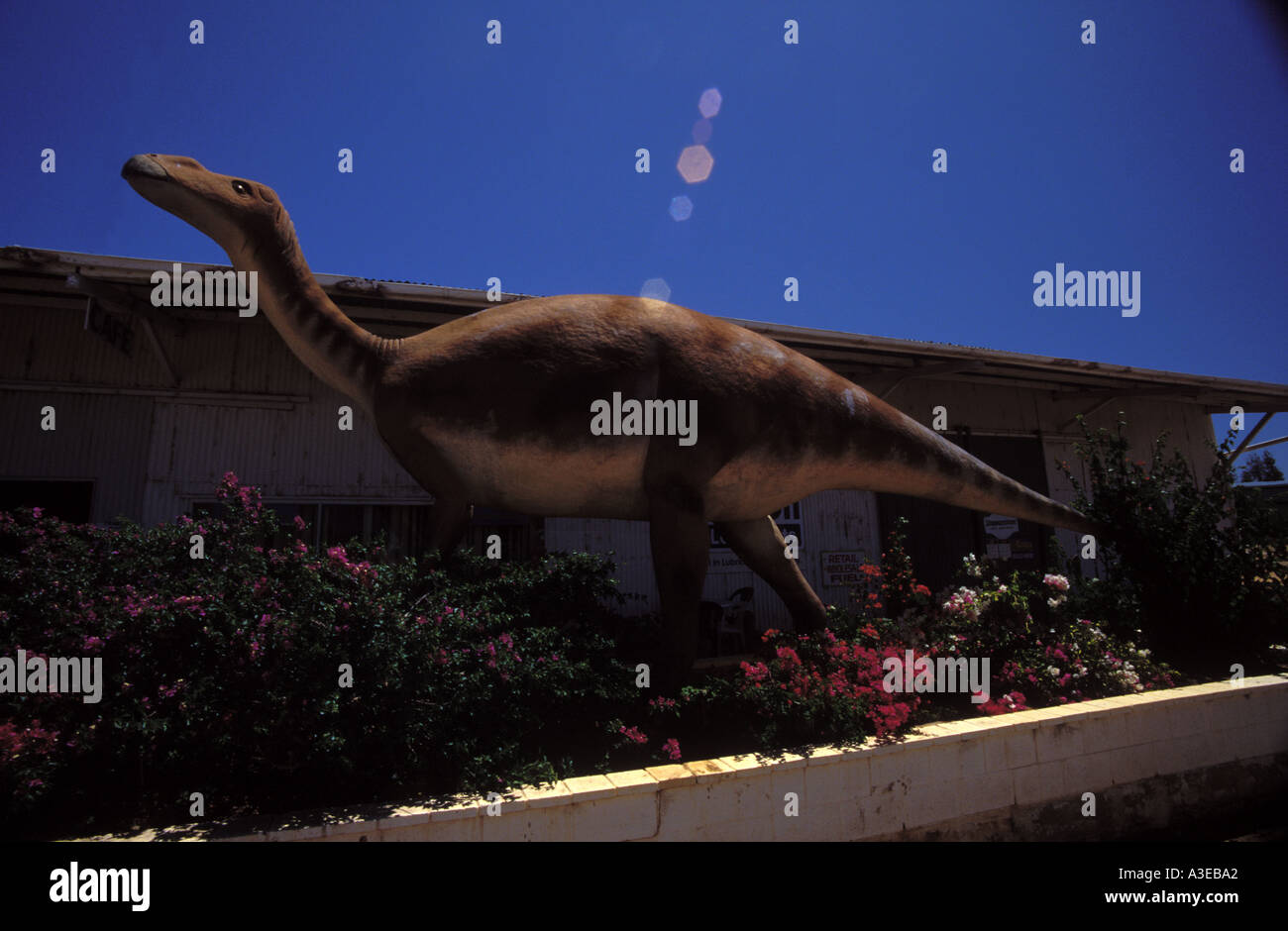 Muttaburra hi-res stock photography and images - Alamy