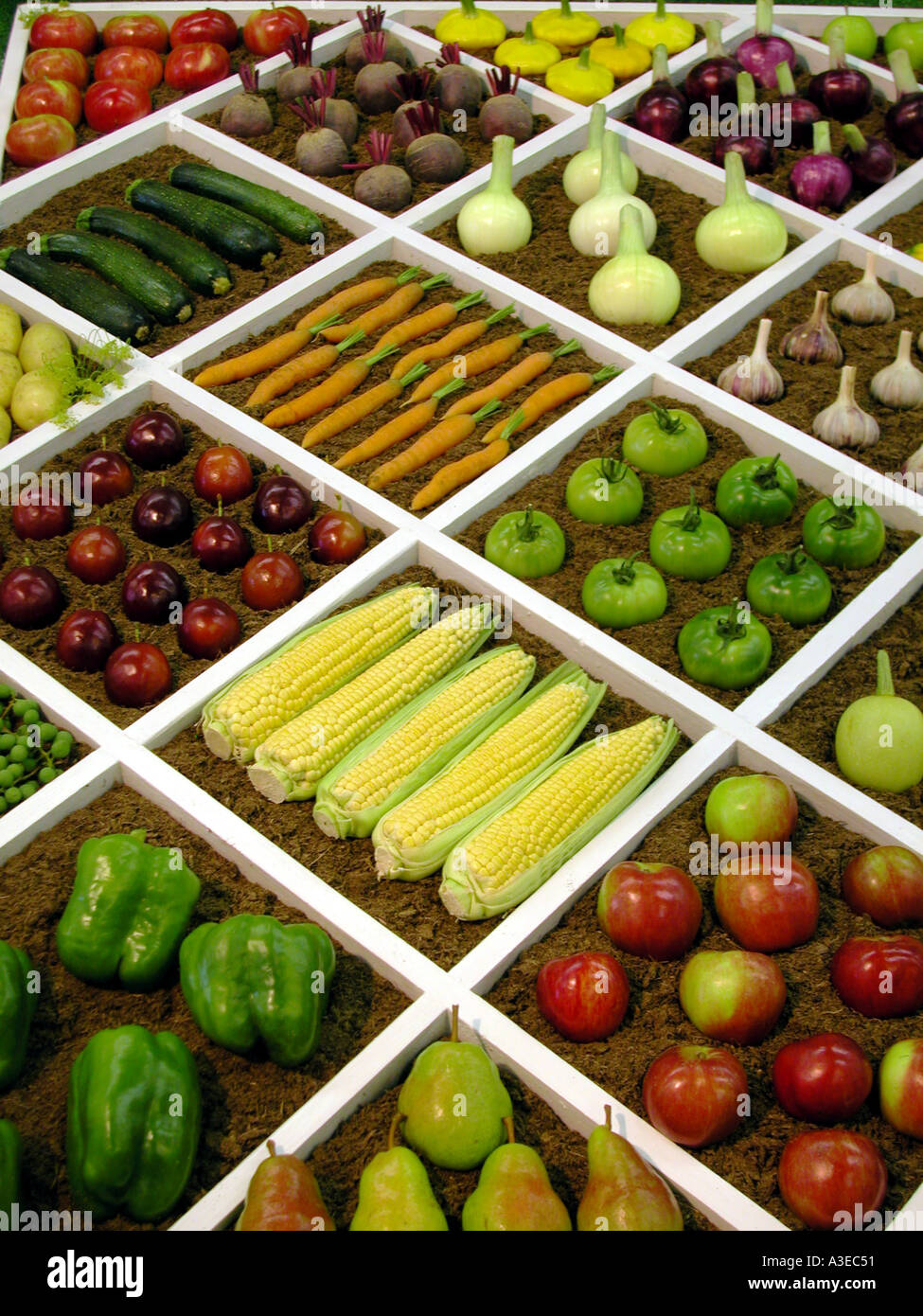 Produce displays at a state fair in Washington State USA Stock Photo ...