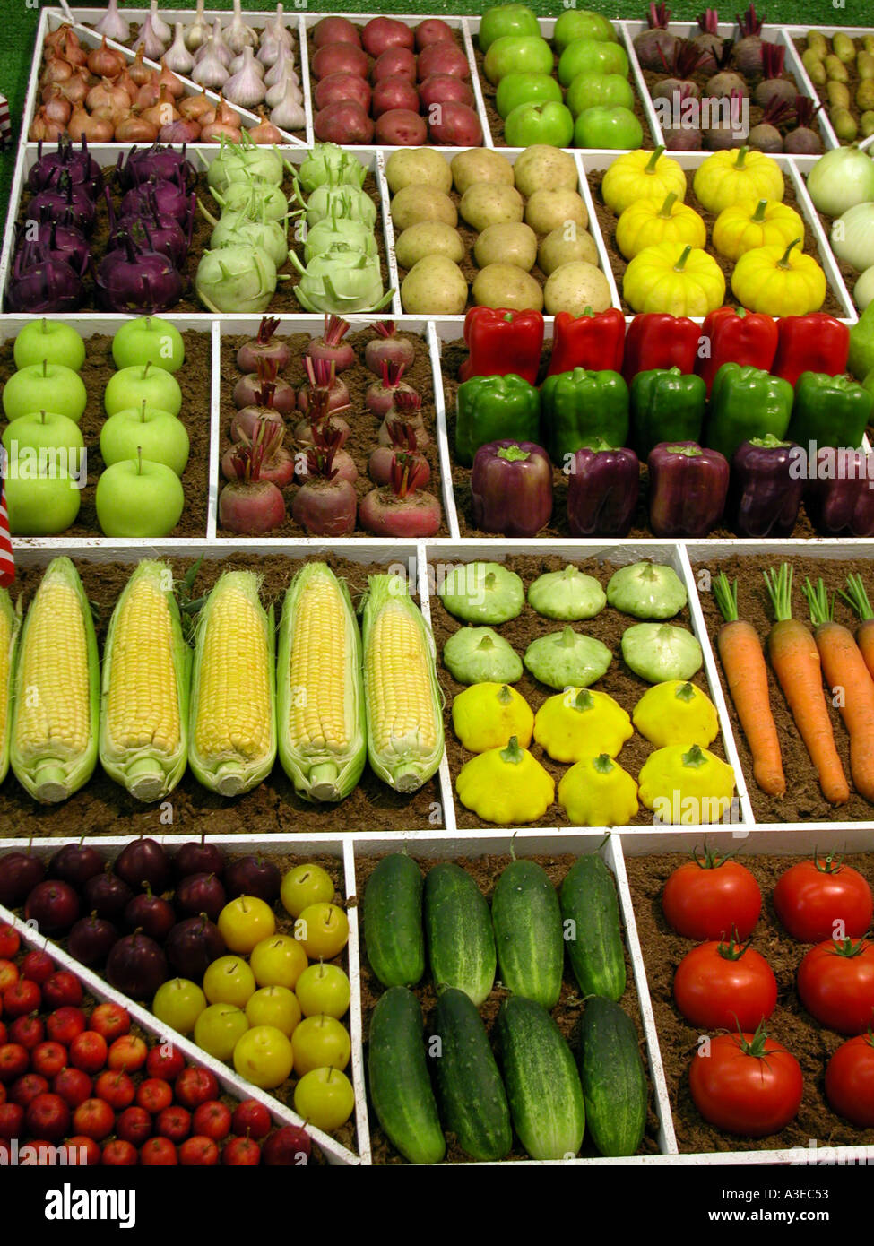 Produce displays at a state fair in Washington State USA Stock Photo ...