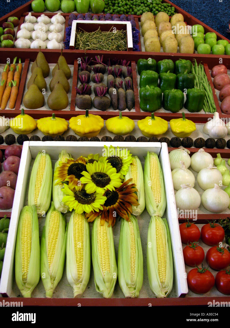 Produce displays at a state fair in Washington State USA Stock Photo ...