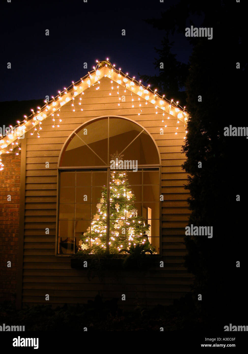 Christmas tree seen through window hi-res stock photography and images ...