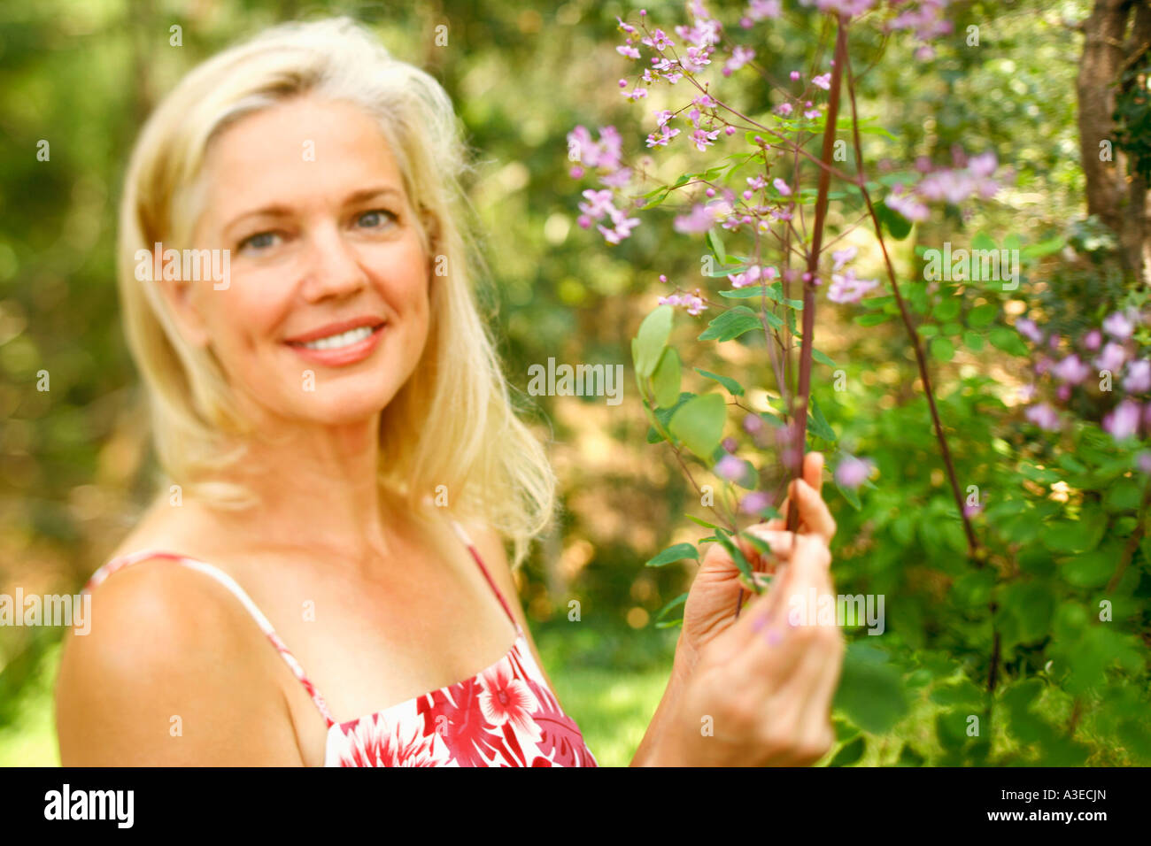 Boomers portrait profile hi-res stock photography and images - Alamy