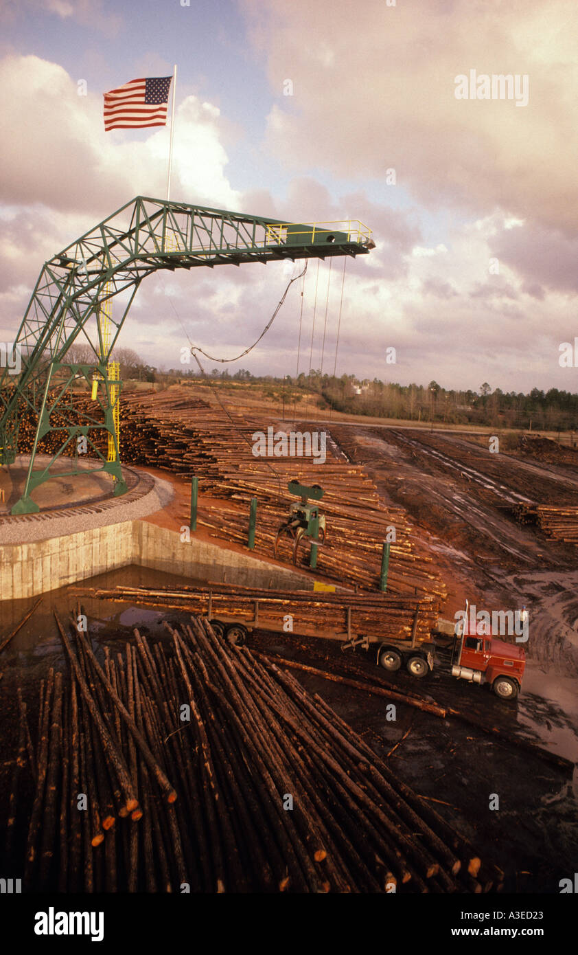 aerial view of log yard in Florida with stacking crane Stock Photo - Alamy