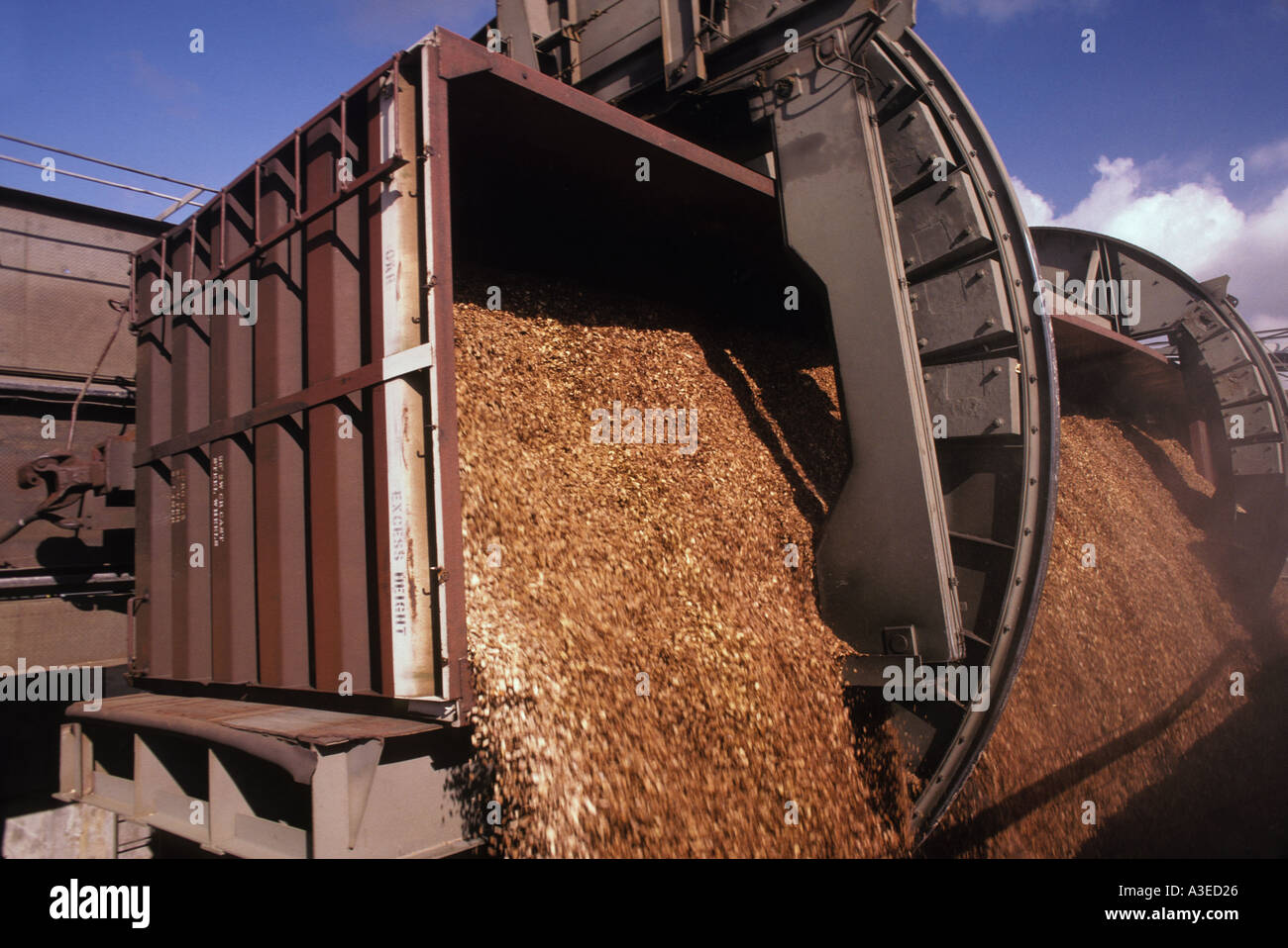 railroad hopper car being inverted by machine to dump pulp chips for ...