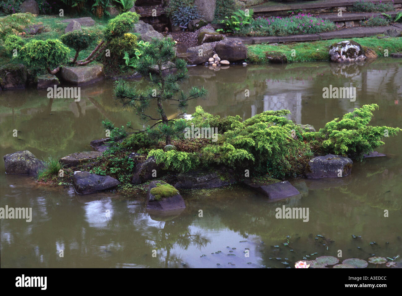 Japanese style garden pool Stock Photo - Alamy