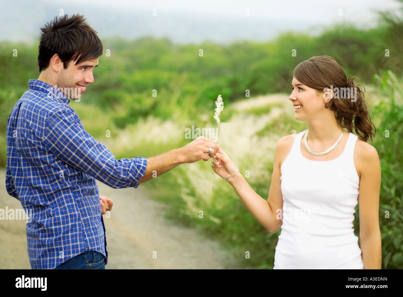 Couple couples lady ladies romance romantic hi-res stock photography ...
