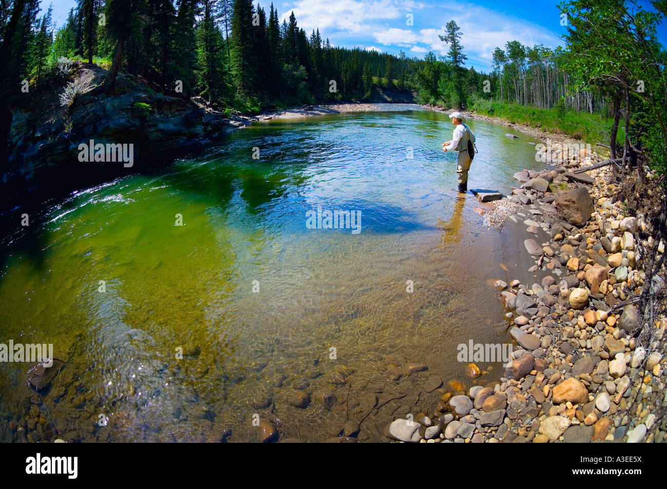 Man fly fishing Stock Photo - Alamy