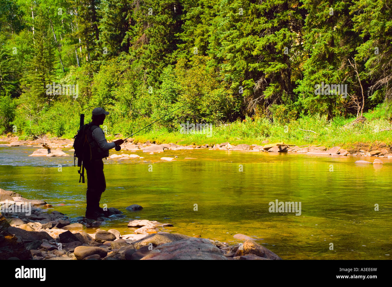 Man fly fishing Stock Photo - Alamy