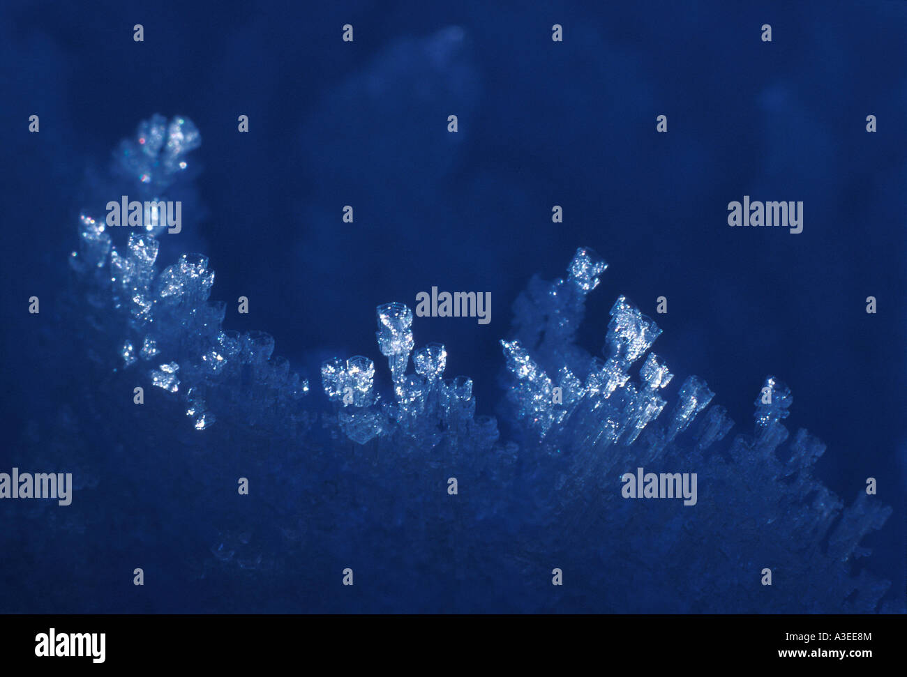 Hoar frost crystals Stock Photo - Alamy