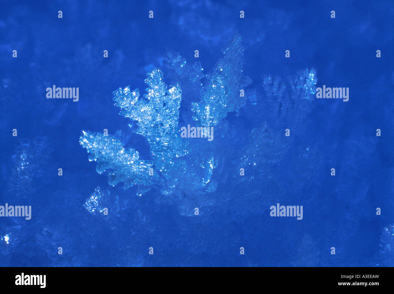 Hoar frost crystals Stock Photo - Alamy