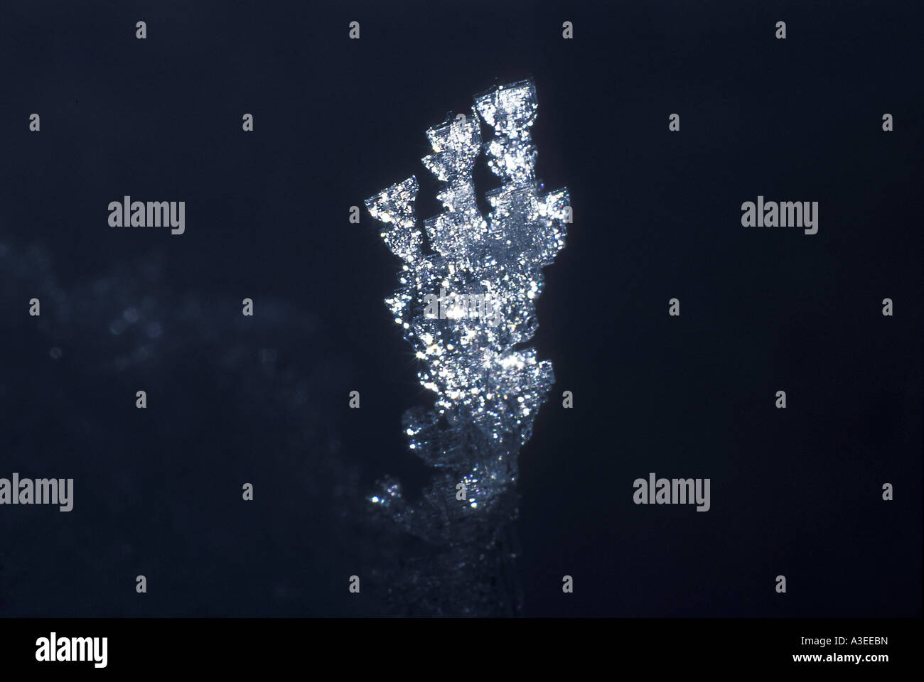 Hoar frost crystals Stock Photo - Alamy