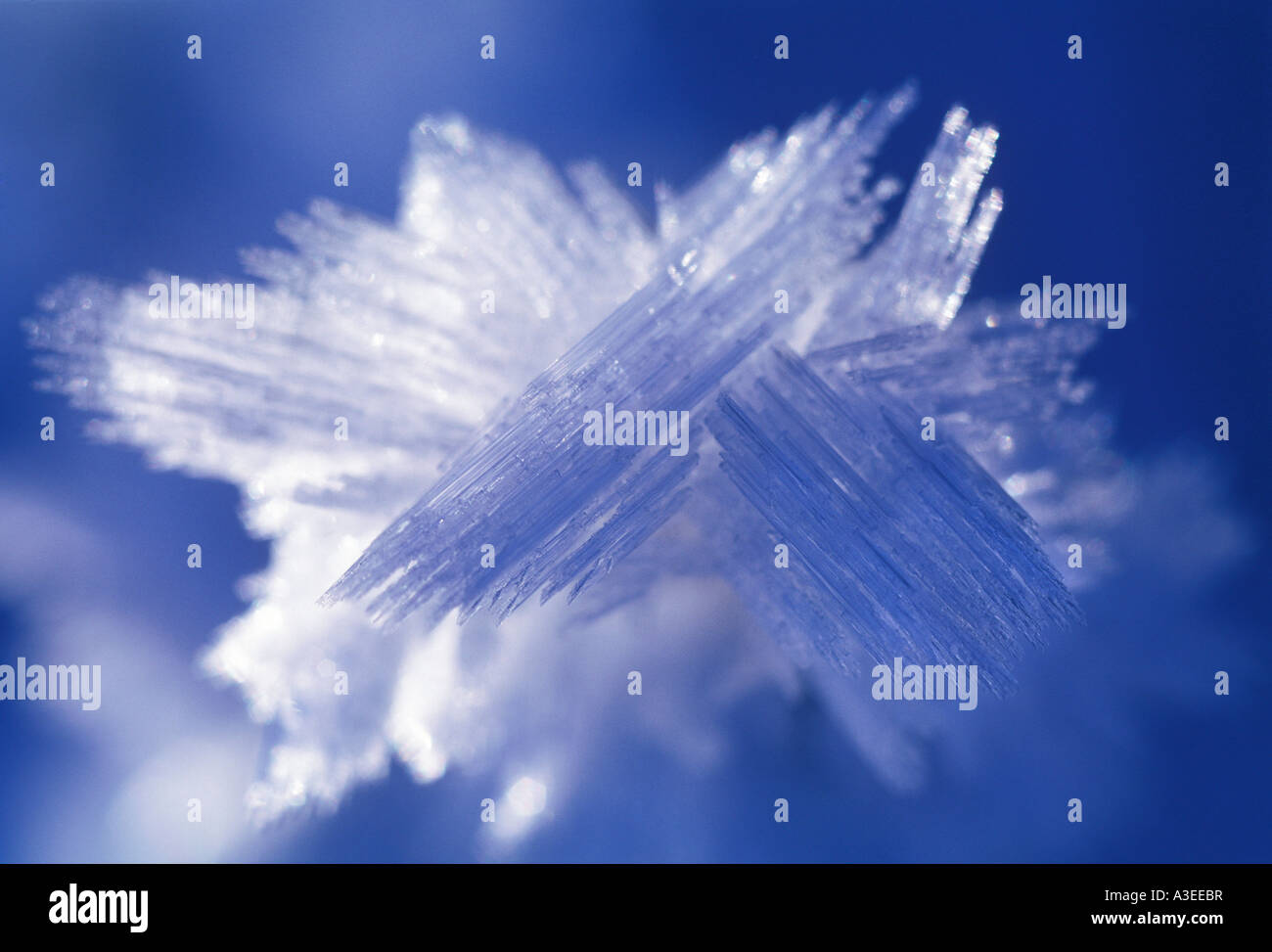 Hoar frost crystals Stock Photo - Alamy