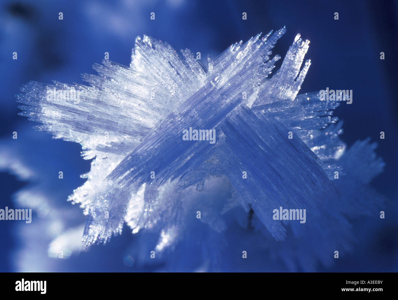 Form frost hi-res stock photography and images - Alamy