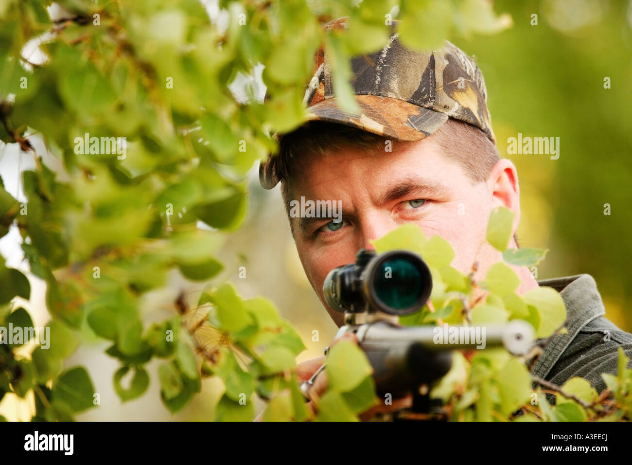 Wea0099 hi-res stock photography and images - Alamy