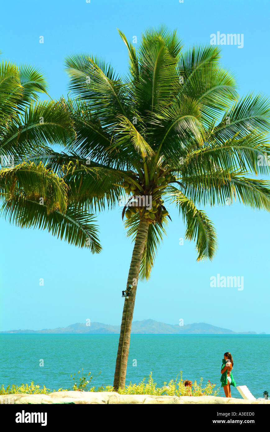 Sonaisali fiji hi-res stock photography and images - Alamy