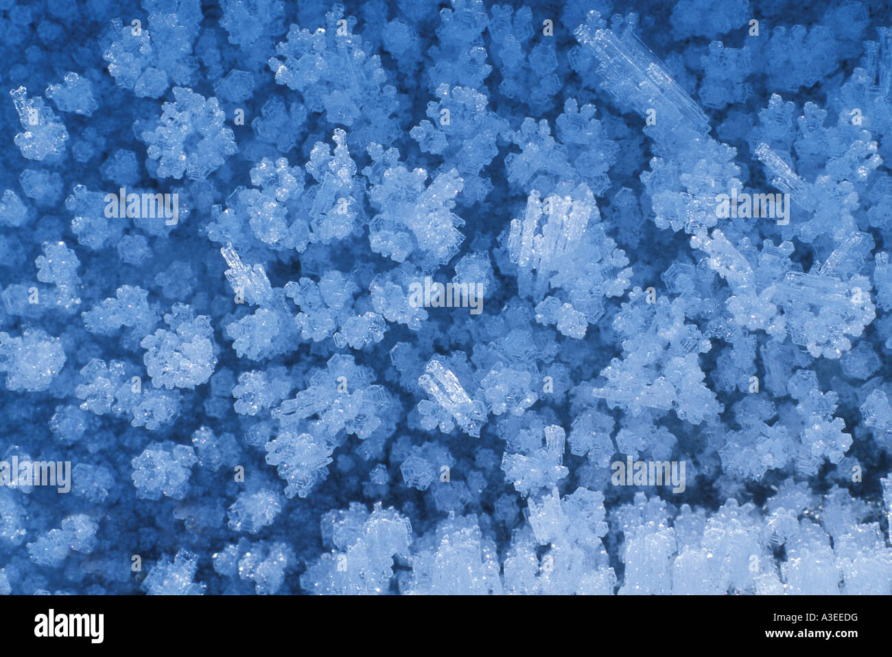 Hoar frost crystals Stock Photo - Alamy