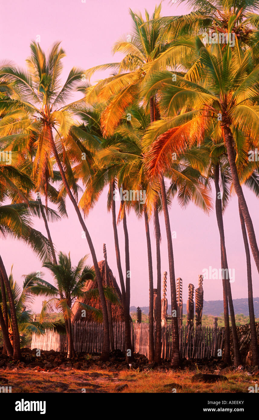 Hawaiian hut hi-res stock photography and images - Alamy