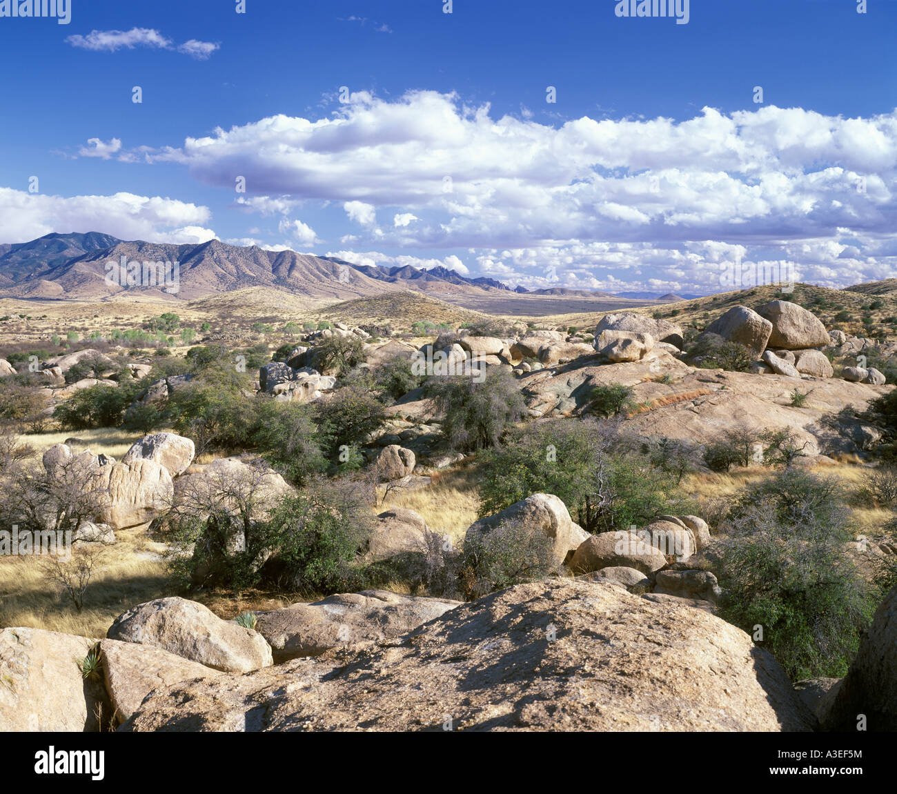 Texas Canyon near Willcox, Arizona, USA Stock Photo - Alamy