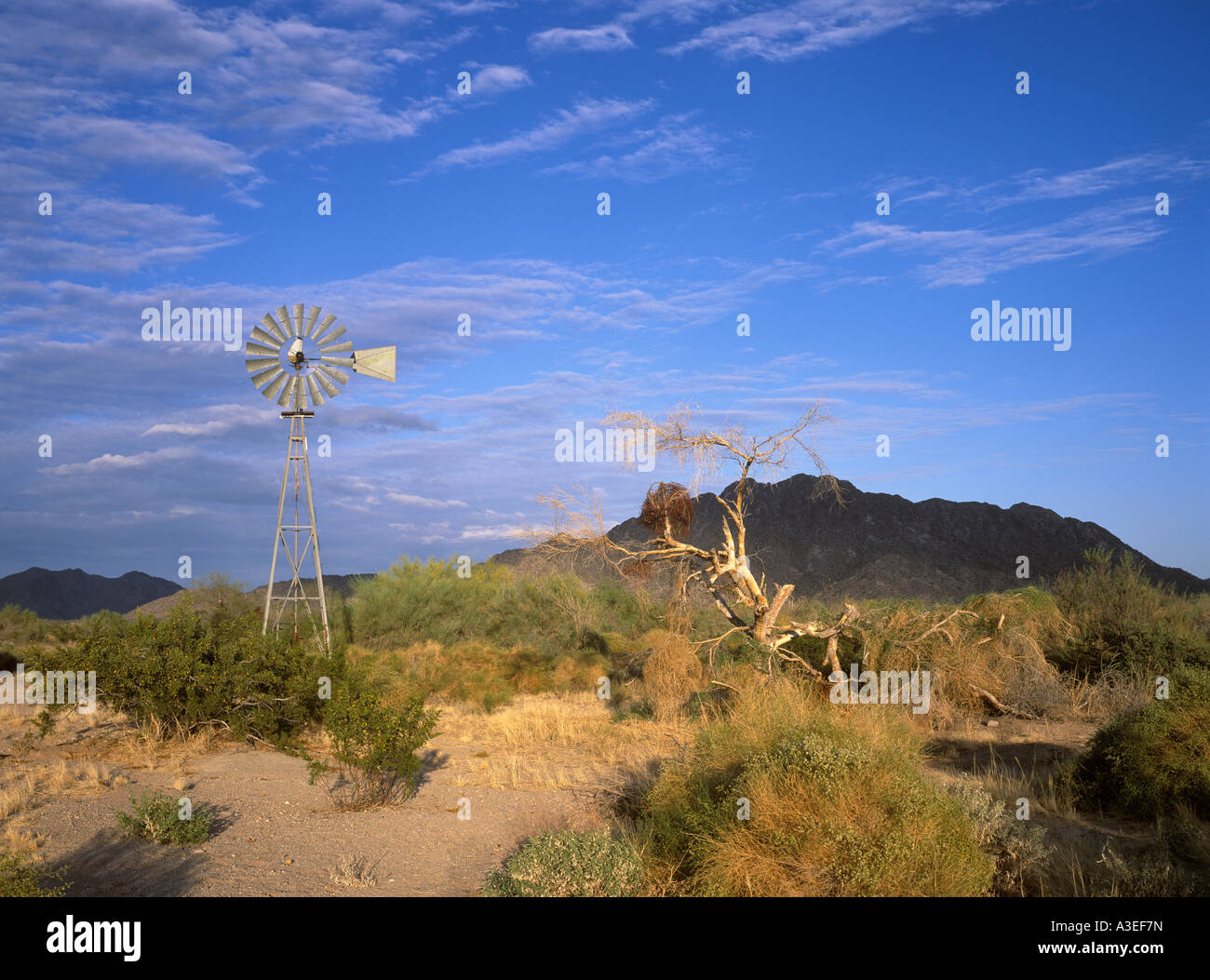 Papago Well, Cabeza Prieta National Wildlife Refuge, windmill, Arizona ...
