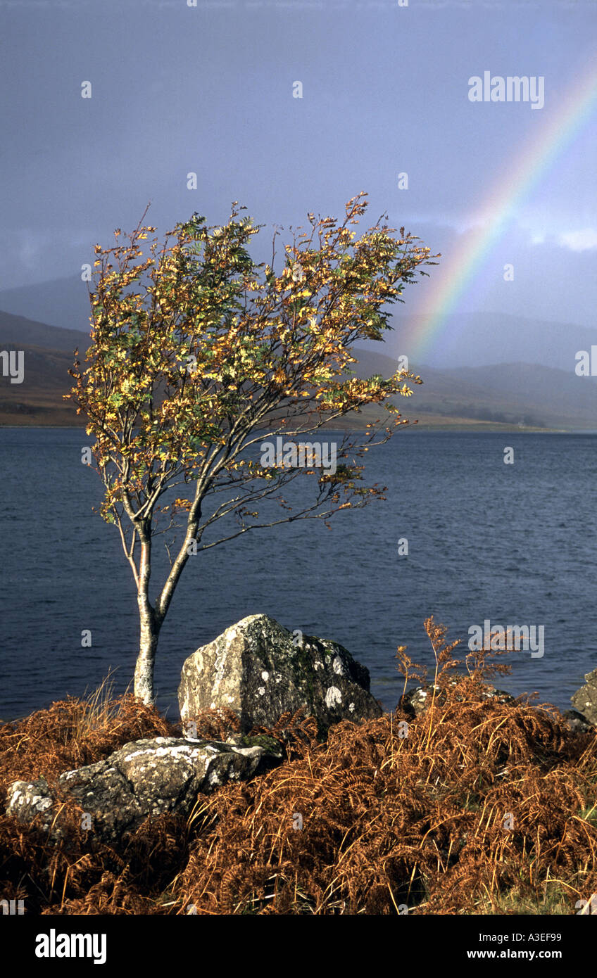 Loch spelve croggan isle mull hi-res stock photography and images - Alamy