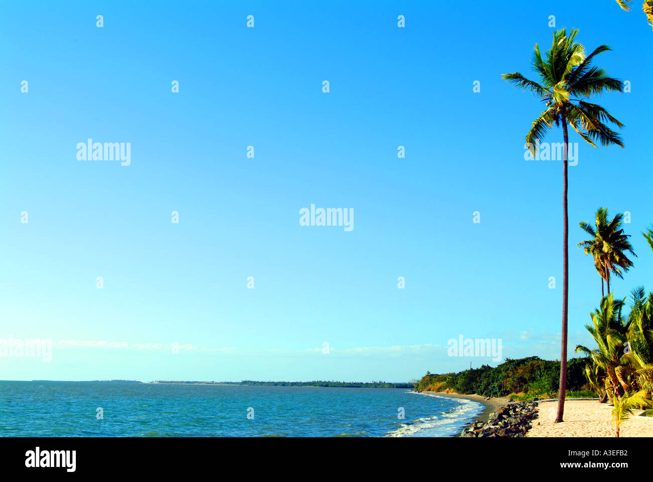 Sonaisali fiji hi-res stock photography and images - Alamy