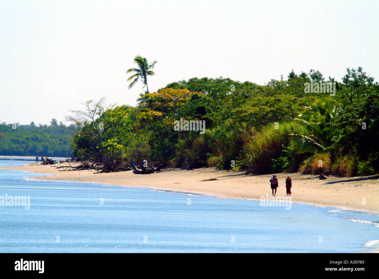 Sonaisali fiji hi-res stock photography and images - Alamy