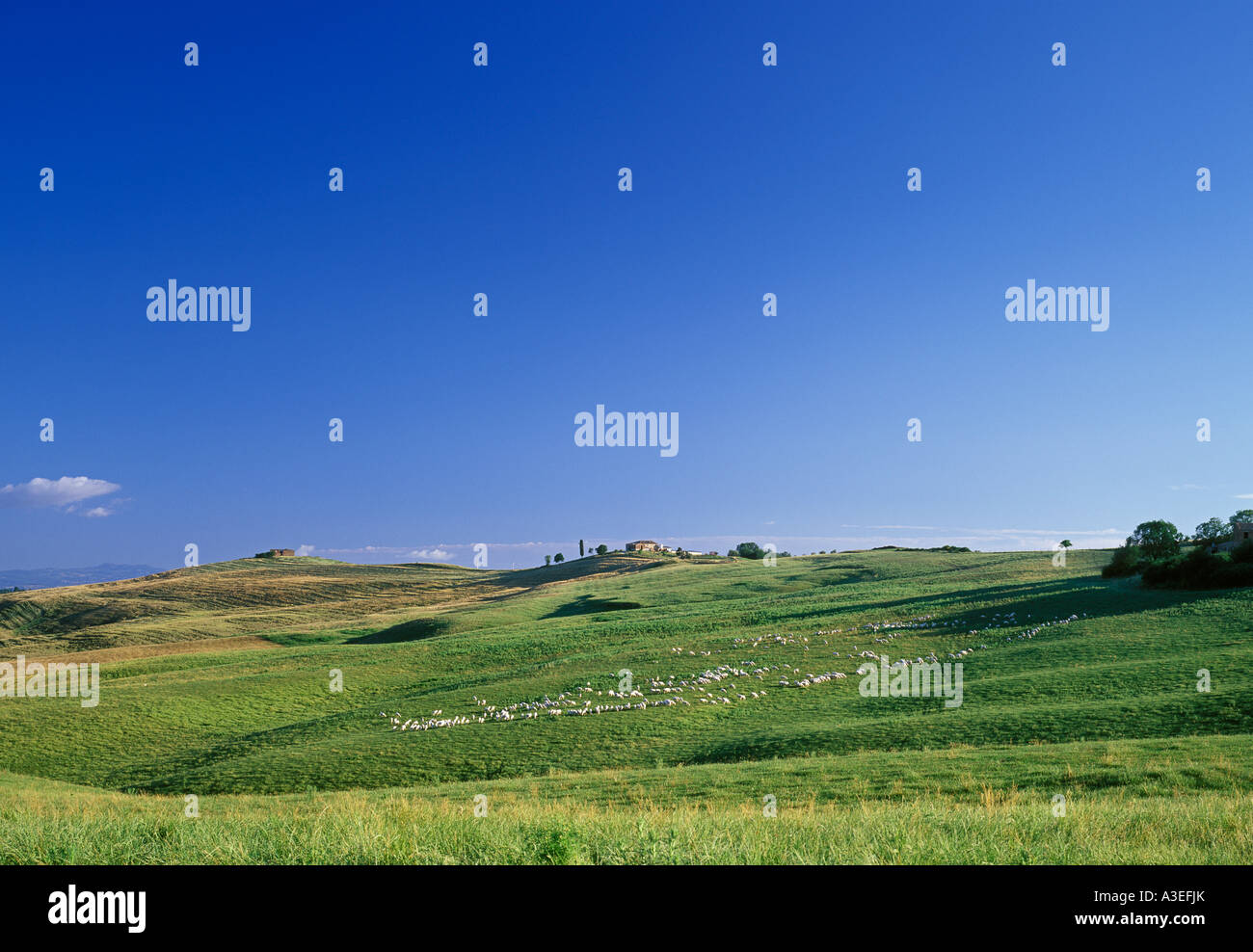 Le Crete, Tuscany, Italy Stock Photo - Alamy