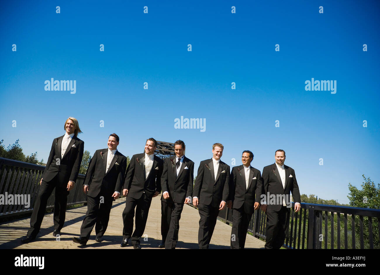 Walking Tux High Resolution Stock Photography and Images - Alamy