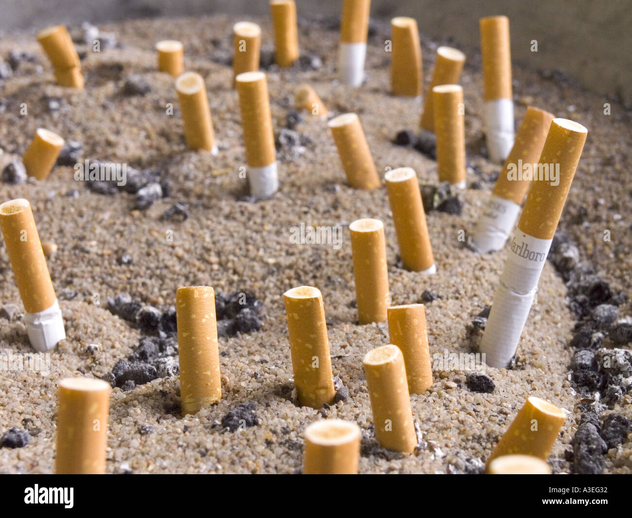 Cigarette end in sand tray Stock Photo - Alamy