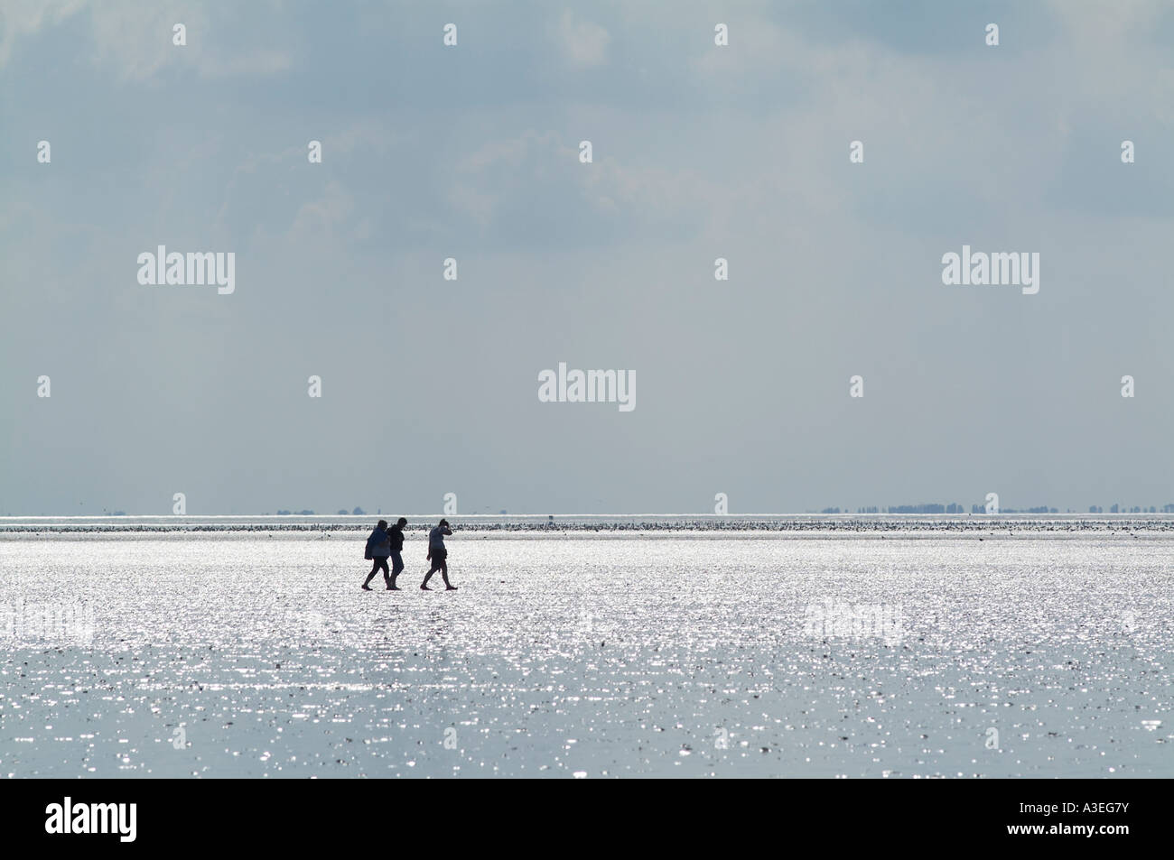 People walking at the Sea Stock Photo - Alamy