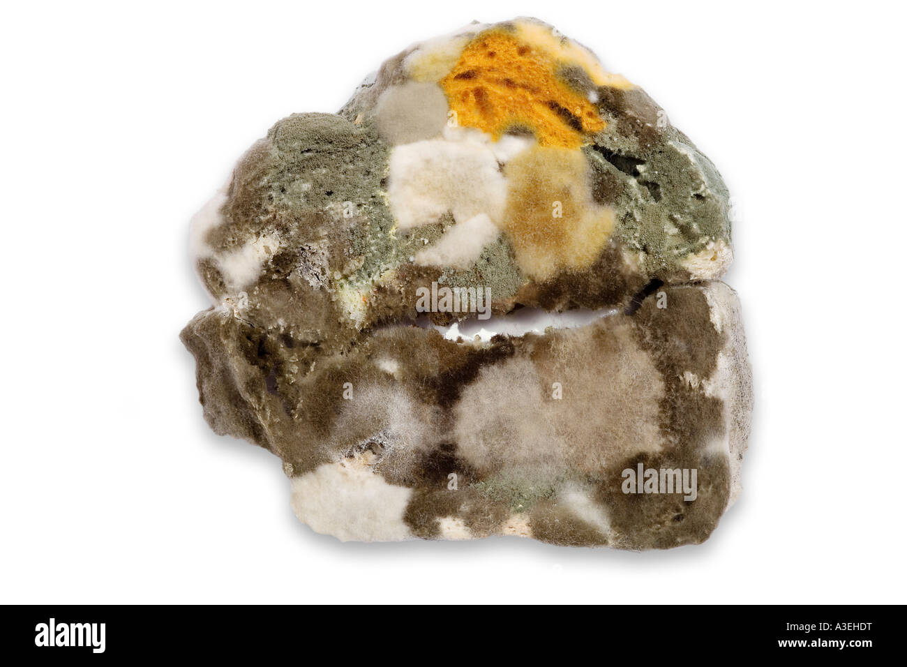 Mouldy Slice Bread Stock Photos & Mouldy Slice Bread Stock Images - Alamy
