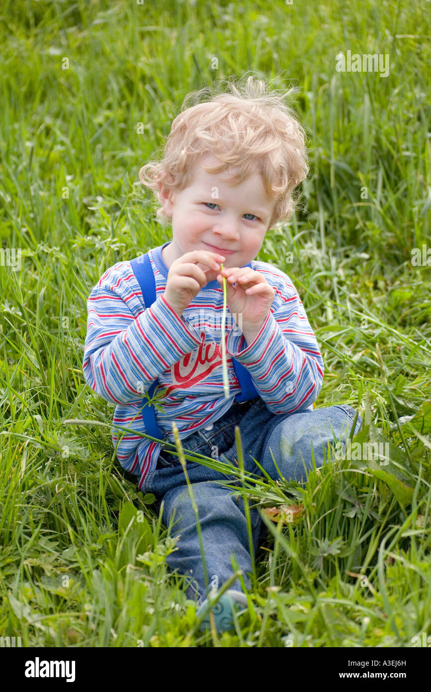 A three year old boy chewing on a blade of grass Stock Photo - Alamy