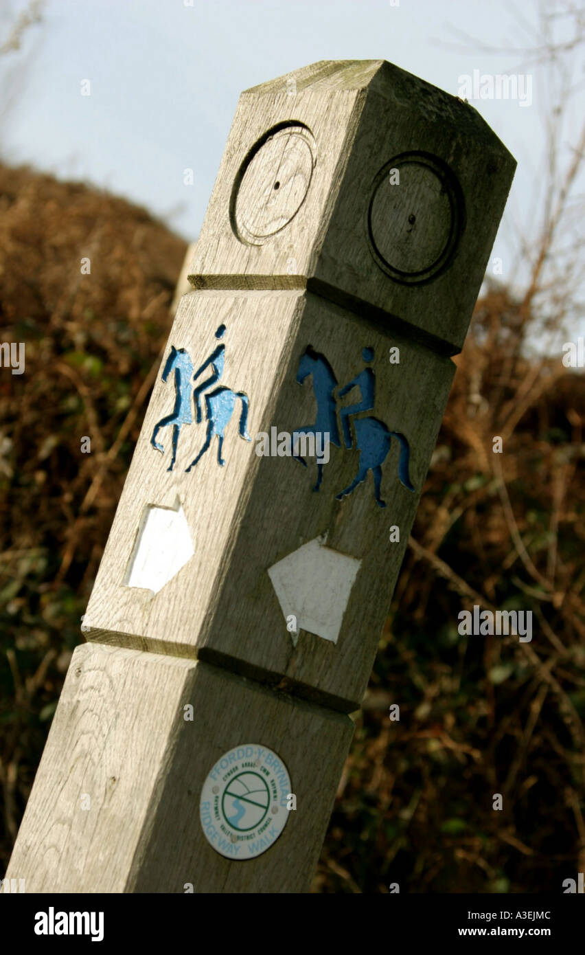 Countryside post in woodland near Draethen South Wales GB UK 2006 Stock ...