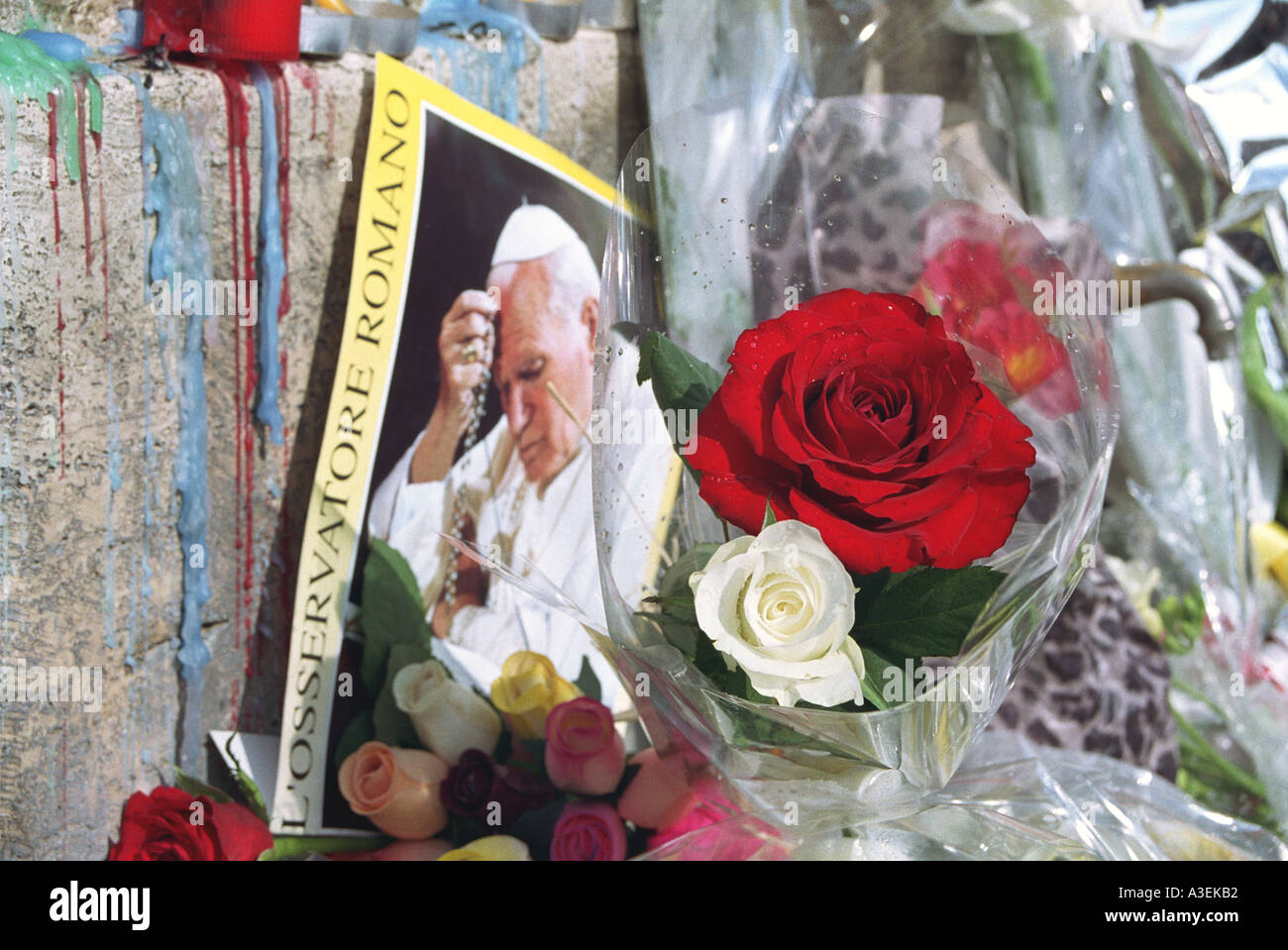 red and white roses on altar to pope in st peters sq Pope s Death Rome ...