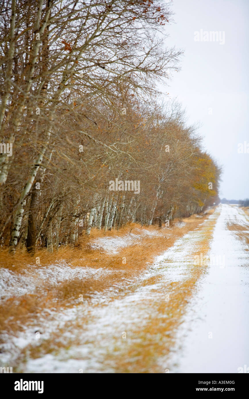 Ditch on side of road Stock Photo - Alamy