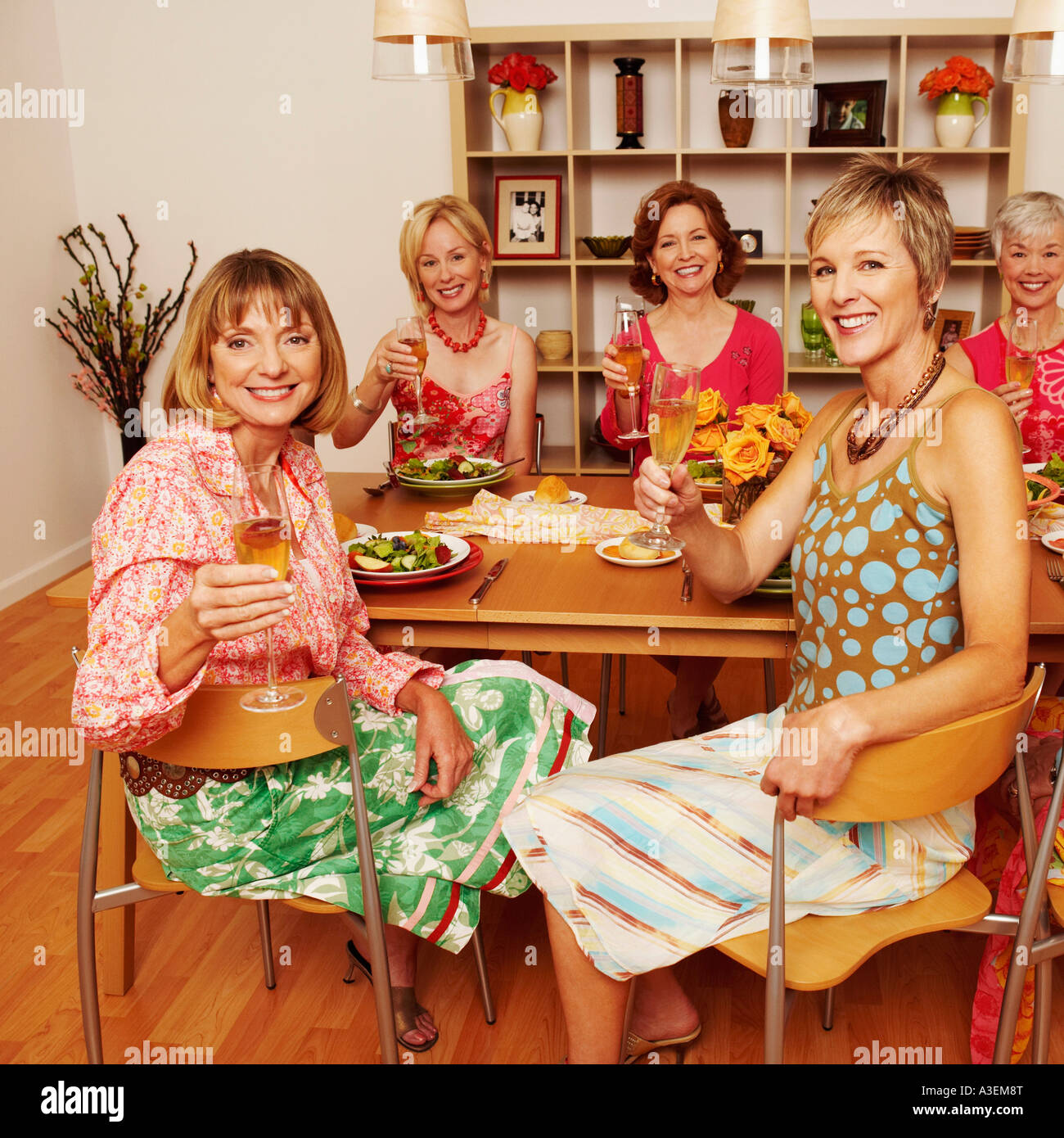 Portrait of a group of mature adult woman sitting at dining table ...