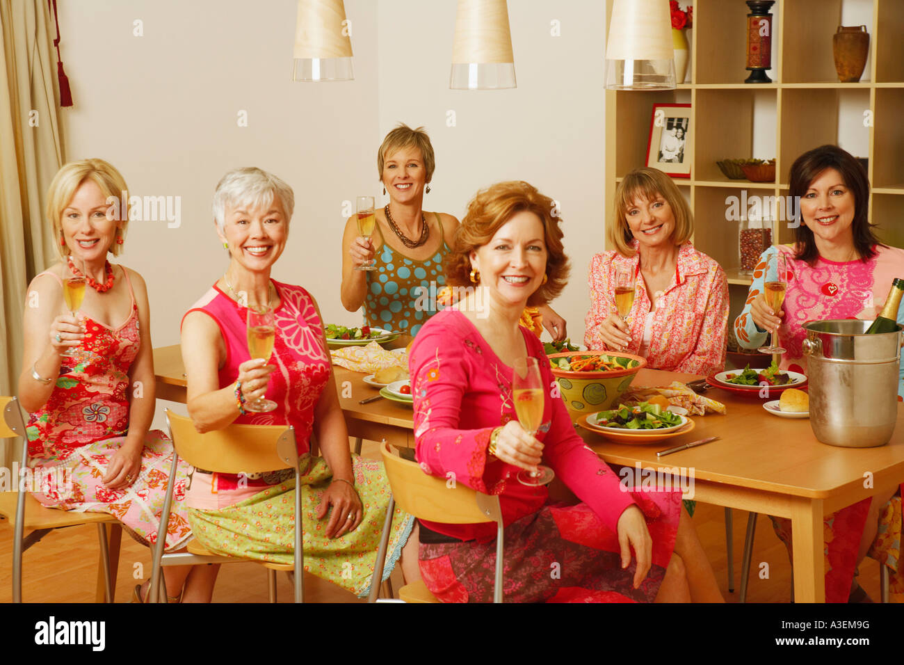 Portrait of a group of mature women sitting at the dining table and ...