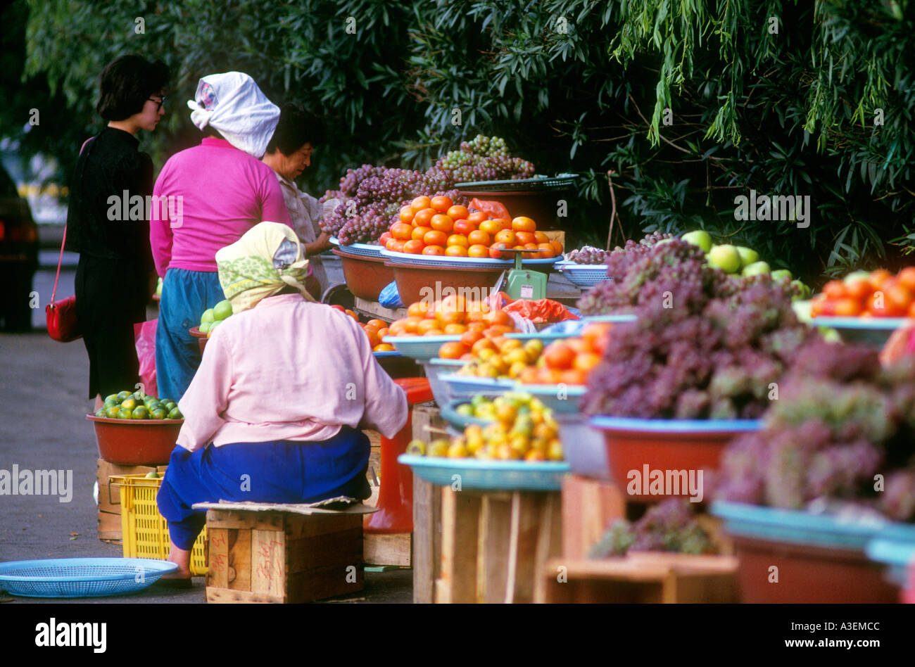 Chejudo cheju island south korea south korea asia asian oriental travel ...