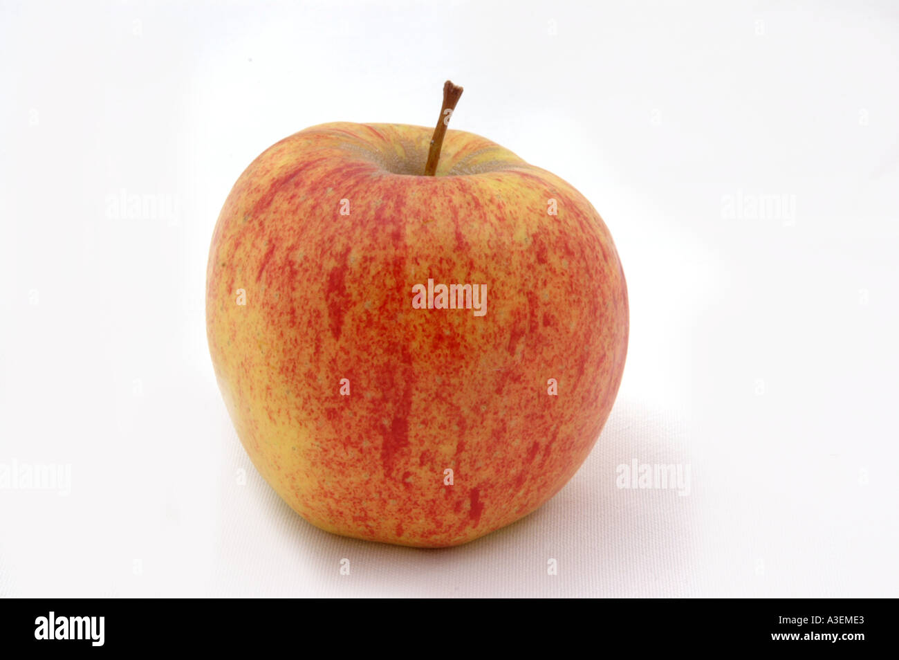 Aple trees hi-res stock photography and images - Alamy