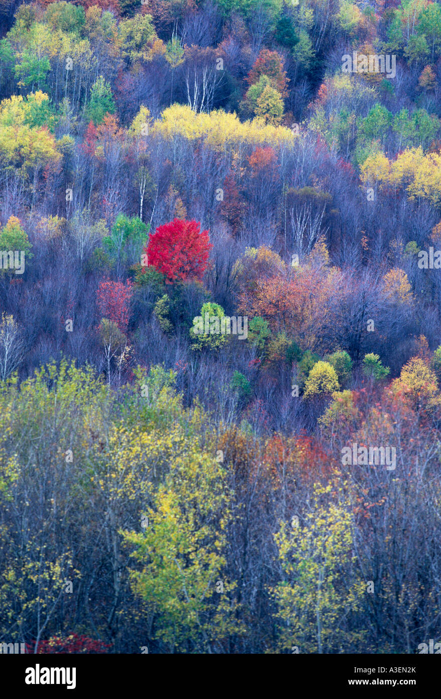 Wellsboro hi-res stock photography and images - Alamy
