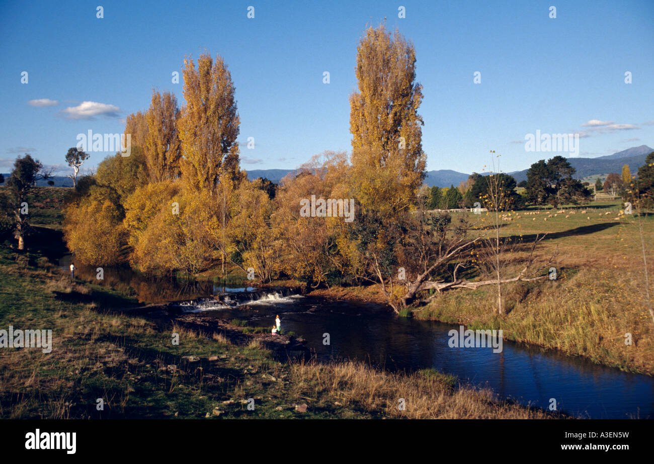 Trout fishing Delatite River near Mansfield Victorian Alps NE Victoria ...