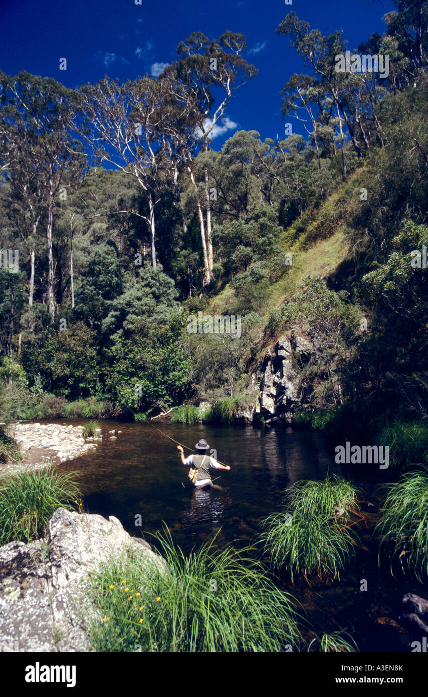 Fly fishing trout howqua river hi-res stock photography and images - Alamy