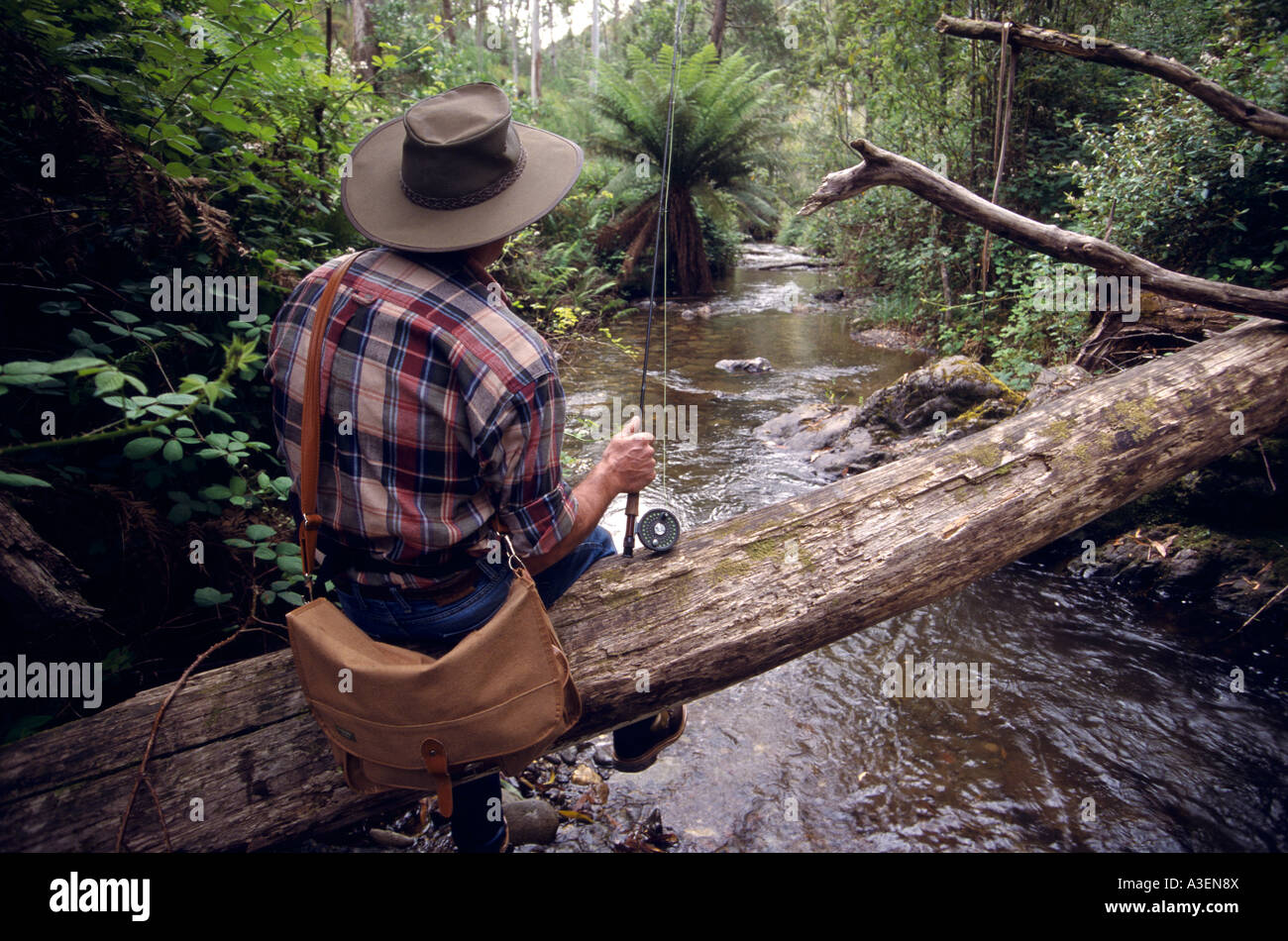Fly fishing trout howqua river hi-res stock photography and images - Alamy