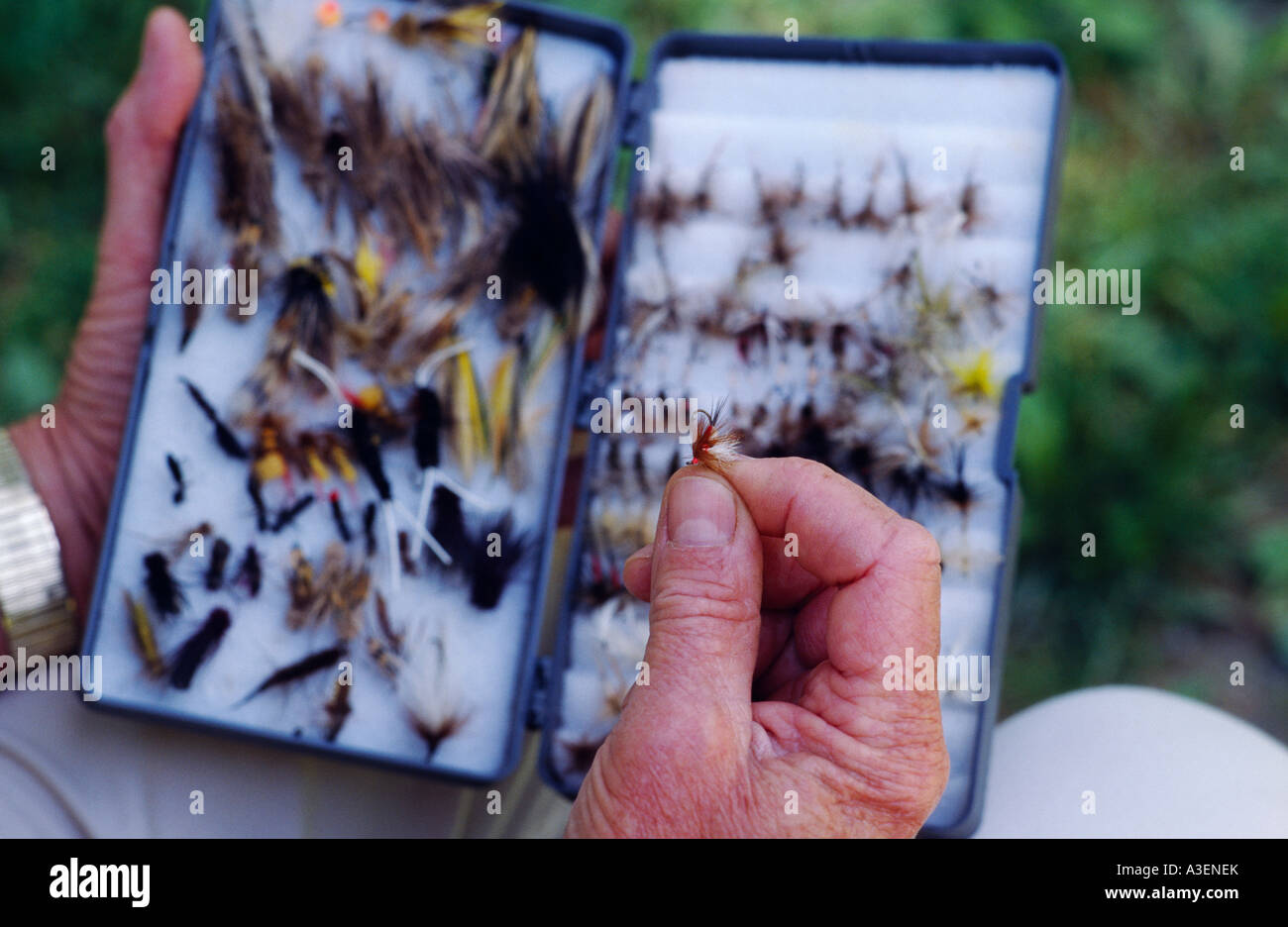 Dry fly Royal Humpy and trout fisherman s fly box horizontal Stock ...