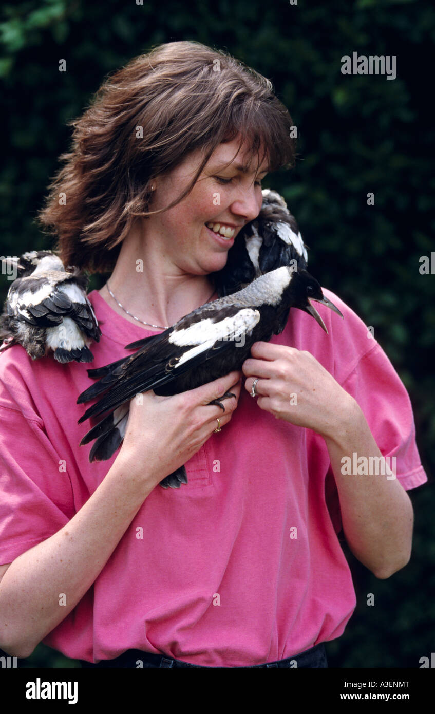 woman with orphaned magpies, Australia Stock Photo - Alamy