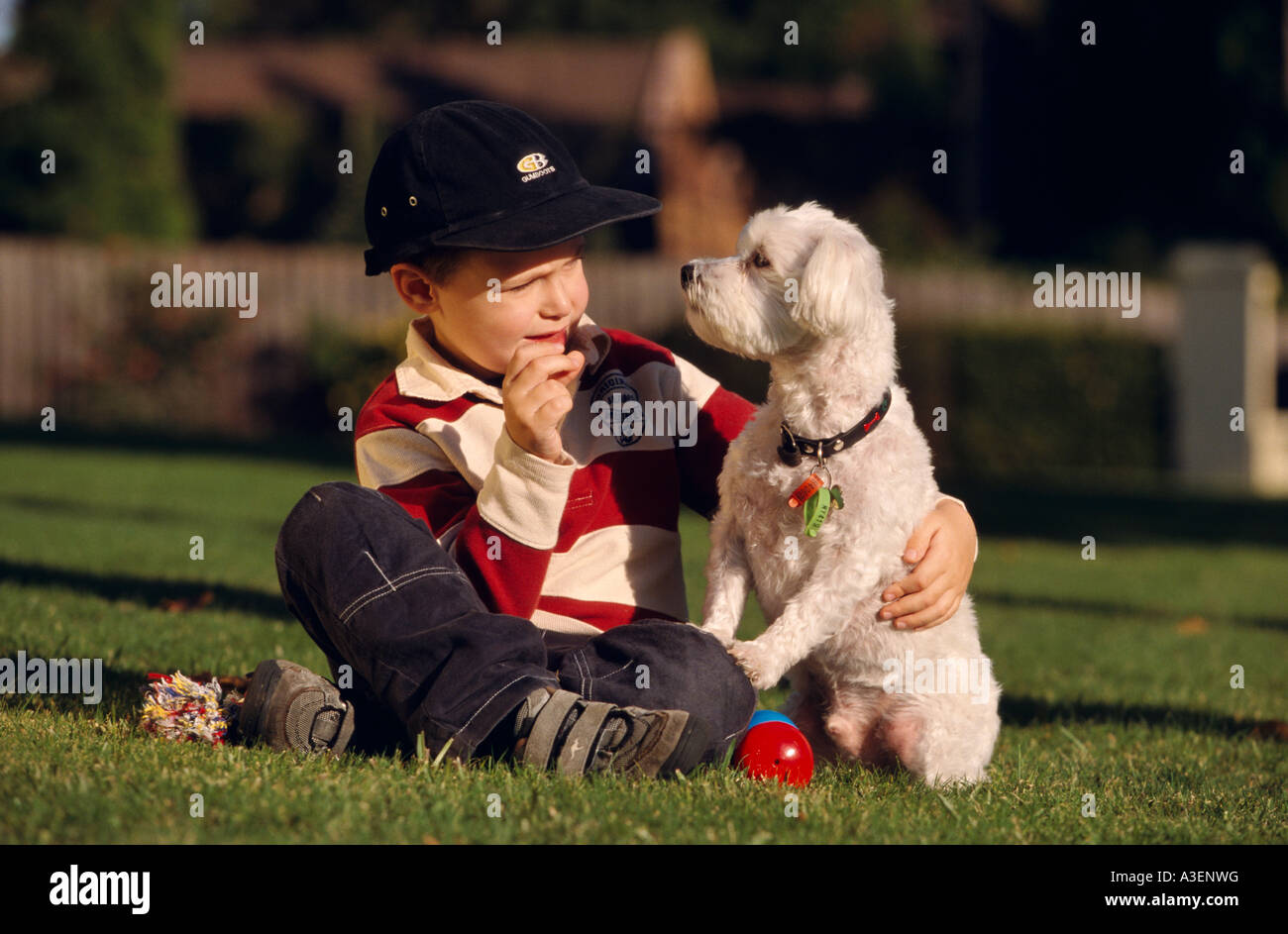 Child dog australia hi-res stock photography and images - Alamy