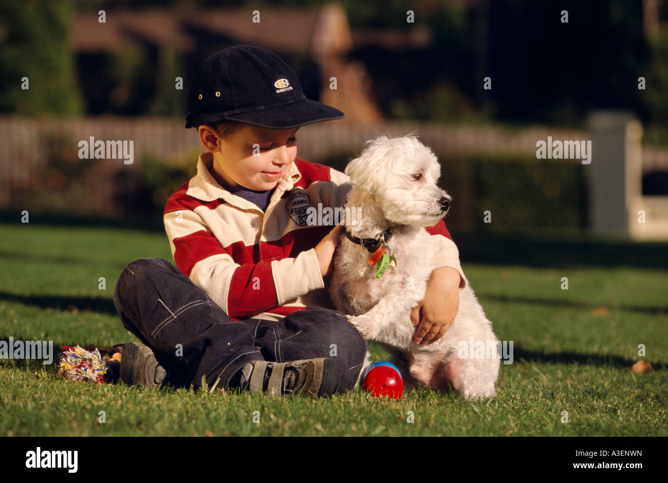 Small boy having fun with dog hi-res stock photography and images - Alamy